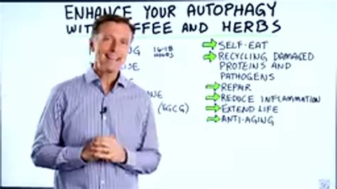 Video How To Boost Your Health And Resilience With Autophagy Sikder