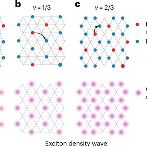 Correlated Insulating States In Coupled Moiré Lattices A Electronic Download Scientific