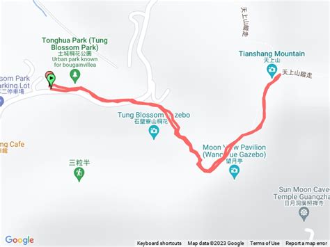 天山上 桐花公園來回 健行筆記