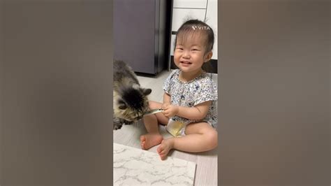 육아육묘 9개월 아기4살 고양이 굿데이하우스 Youtube