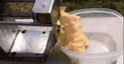 감자칩에 들어가는 감자는 몇 개 내가 겨우 이걸 먹었다니