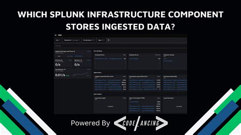 which splunk infrastructure component stores ingested data by codelancing medium