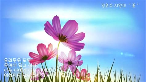 시낭송힐링플러스 꽃김춘수 낭송문은경 한국인애송시 시읽는교실 Youtube