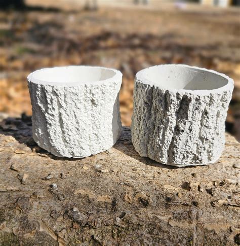 Pair Of Small Tree Stump Pots Home Garden Patio Office Decor Etsy