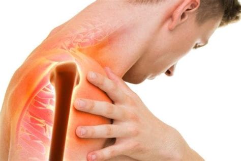 التهاب تاندون های شانه کلینیک فیزیوتراپی مقدم فیزیوتراپی خوب در غرب