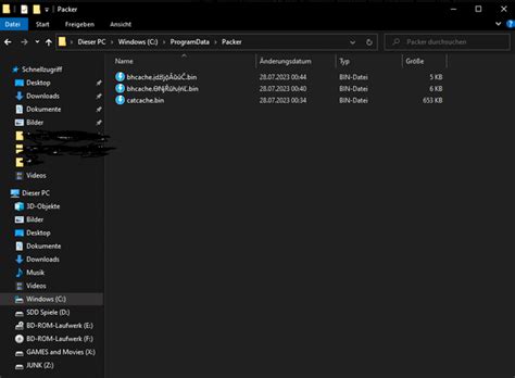 Wierd Folder With Bin Files Rcomputerviruses