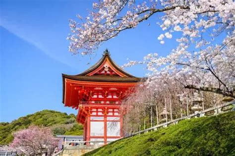 教你快速记忆日语五十音图！发音