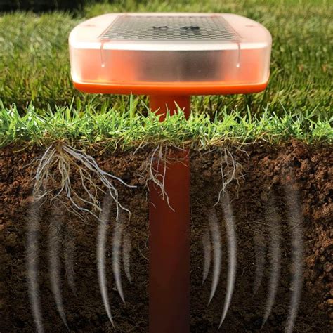 Solar Powdered Sonic Mole Spike Grow Folk