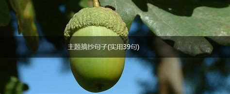 主题摘抄句子 实用39句