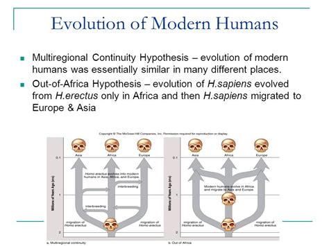 Multiregional Hypothesis