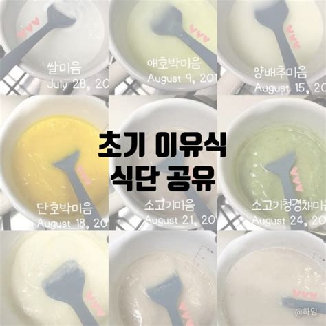 초기 이유식 식단 초기 1단계 초기 2단계 네이버 블로그