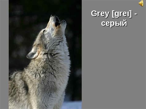 Презентация Colours по УМК Sportlight 2 Н.И.Быкова
