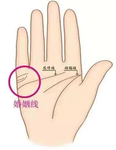 婚姻线在手掌侧面 好的婚姻线在侧面 婚姻线在小指侧面 大山谷图库