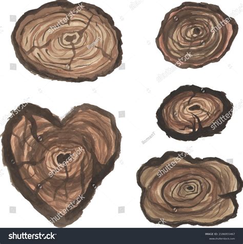 Set Tree Slabs Vector Illustration Hand Stock Vector Royalty Free Shutterstock