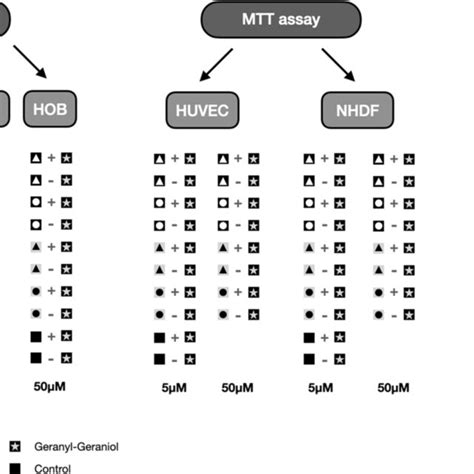 Flowchart Of The Different In Vitro Testings With —without Download Scientific Diagram