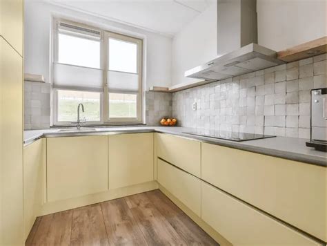 Sherwin Williams Lemon Chiffon SW 6686 30 Real Pictures