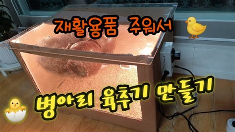 병아리 육추기는 종이상자로 간단하게 만들수 있습니다 Youtube
