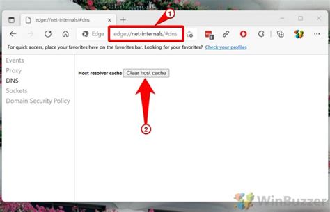 How To Flush DNS In Windows 11 Or Windows 10 WinBuzzer