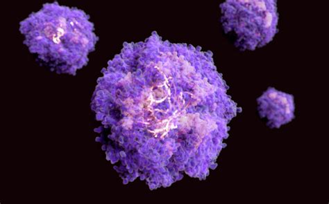 Potential Of Pd 1 And Pd L1 Inhibitors In Cancer Management