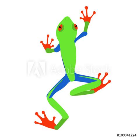 Tree Frog Vector At Vectorified Com Collection Of Tree Frog Vector Free For Personal Use