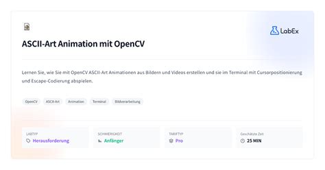 Ascii Art Animation Mit Opencv Labex
