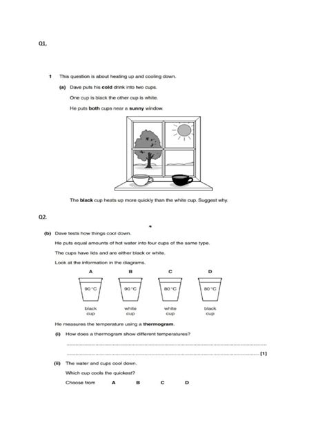 7 worksheet pdf
