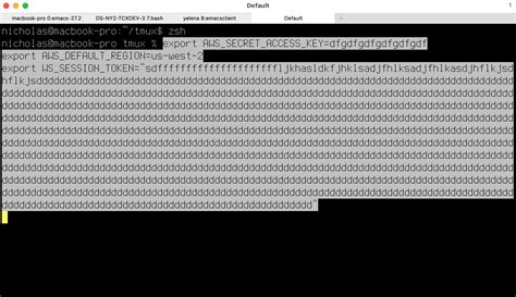 Paste Duplicate Issue · Issue 2877 · Tmuxtmux · Github