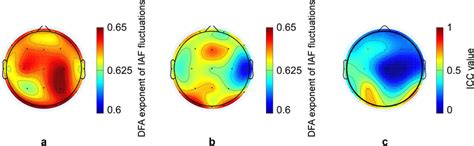 the scalp distribution of the grand average dfa exponent of