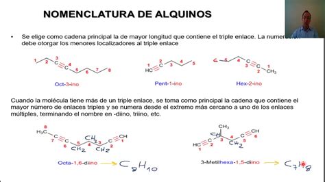 Alquinos Y Alqueninos YouTube