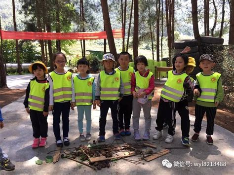 森林培训学校怎么样 达森培训怎么样 桐乡市森林培训学校 大山谷图库