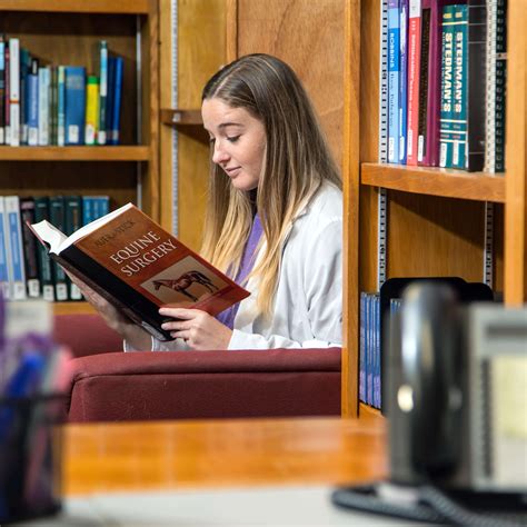 Pre Veterinary Masters Program Smusvm