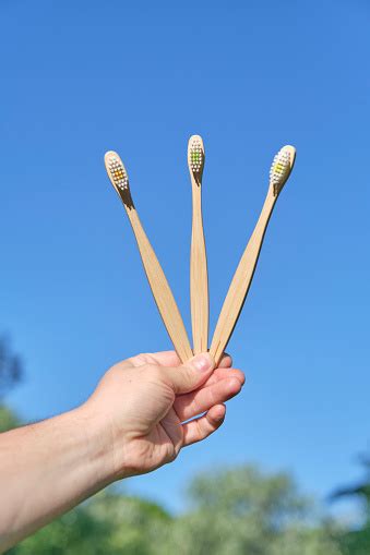 에코 대나무 칫솔을 야외에서 들고 손을 잡습니다 지속 가능한 라이프 스타일 플라스틱 없음 0에 대한 스톡 사진 및 기타 이미지