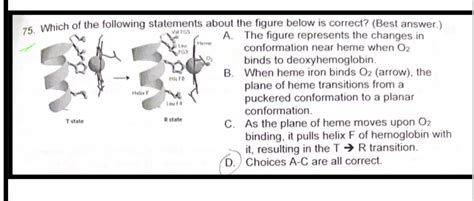 Solved Can Anyone Help With These Four Questions Please Chegg