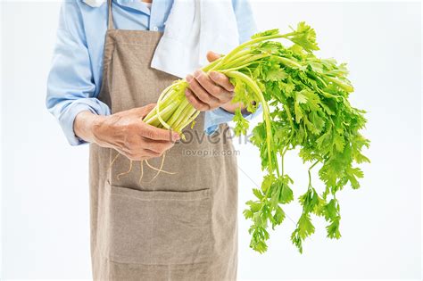야채를 들고 손 사진 무료 다운로드 Lovepik