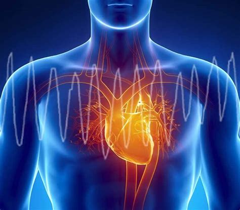 Recalibrating Cellular Structure Through Heart Coherence Meditation