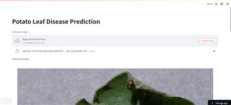 Github Dhaval Mainkar Potato Leaf Disease Classification In This Project The User Or The