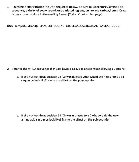 Solved 1 Transcribe And Translate The Dna Sequence Below