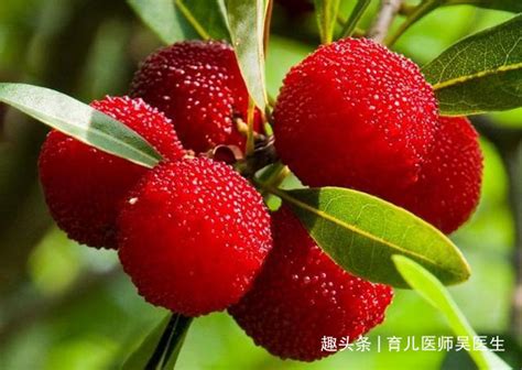 随处常见的好食物女性要坚持吃美容养颜去除皱纹身体好 东方养生频道 东方养生