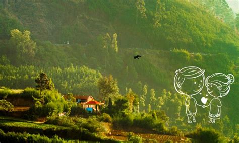 Book Special Ooty Honeymoon Tour Package For 3 Days