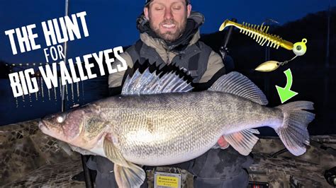 The Secret To Catching Big Spring Walleyes In Rivers Youtube