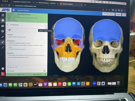 HAN LAB Flashcards Quizlet