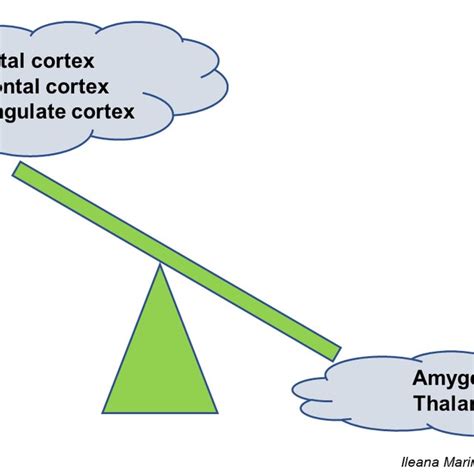 Neurobiological Model Of Anticipatory Anxiety In Womens Breast Cancer
