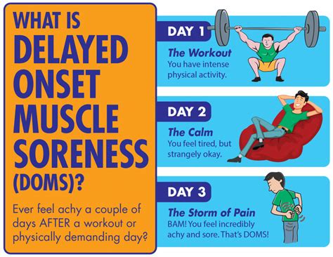 What Is Doms And Supplements To Help [latest Update]