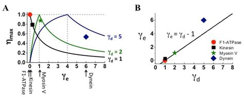 efficiency energy partition relation panel a and energy partition