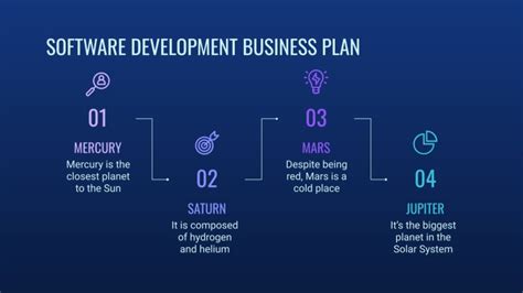 Software Development Business Plan Infographics