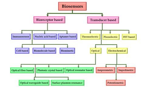History And Types Of Biosensors The History Of Biosensors By Emory Lau Medium