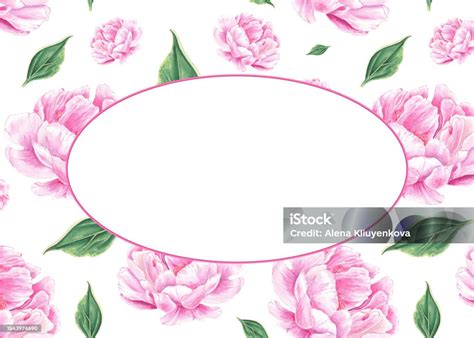 수채화 프레임 테두리 핑크 모란은 프리젠테이션 결혼식 휴일 및 자연 디자인 초대장에 사용하기 위해 식물 스타일로 손으로