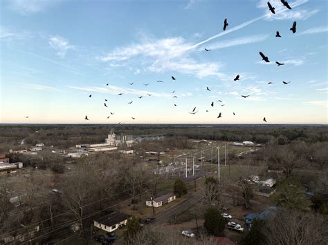 Noxubee County Ms Sheriff Faced Multiple Abuse Allegations At Jail