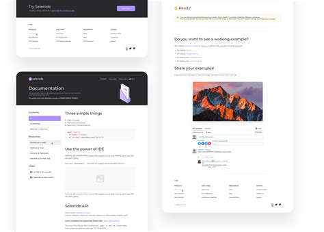 Selenide Framework For Test Automation By Vika Lishchuk On Dribbble