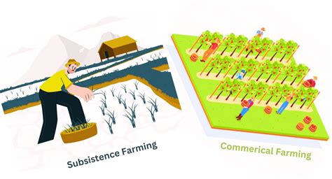 Top Reads Online On Linkedin Subsistence Vs Commercial Farming What